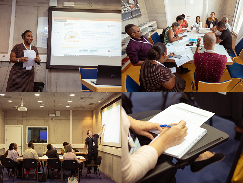 Ecosystem approach to fisheries: prioritization of issues and ...